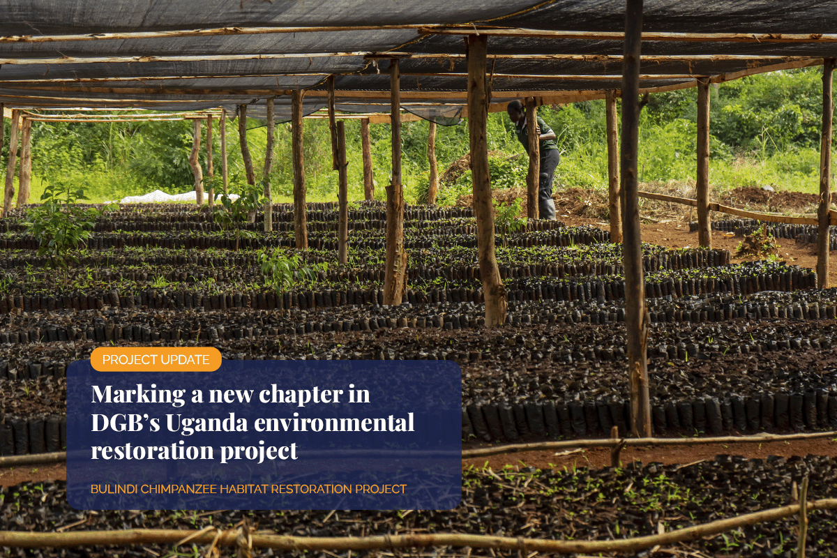 Marking a new chapter in DGB’s Uganda environmental restoration project